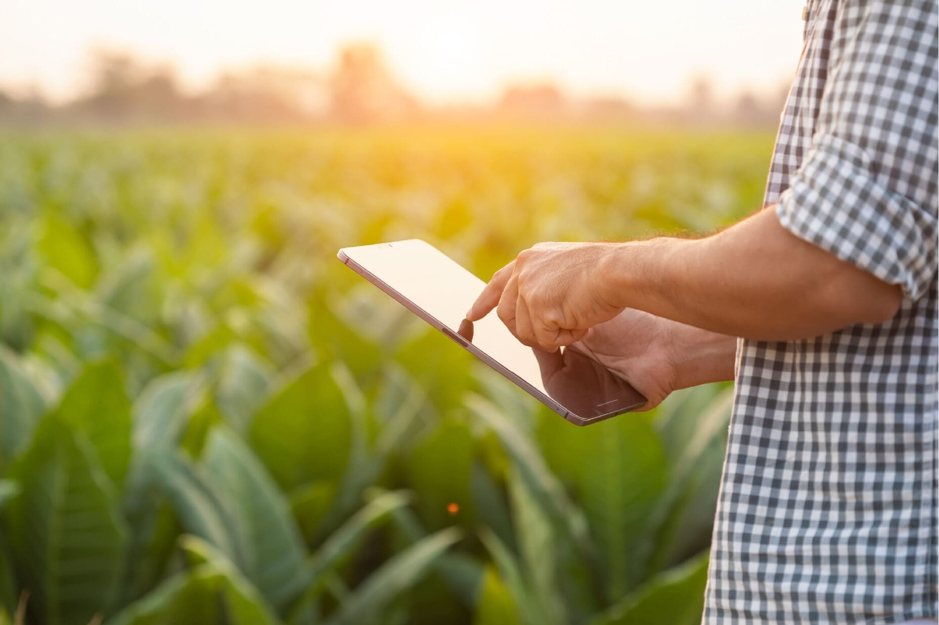 Smart Agriculture IoT Solutions | Optimize Farming with KORE